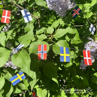 Flaggspel Mini Norden - Flaggspel, Vimpelspel & Signalställ - Flaggor ...